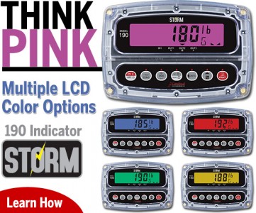 Cardinal 190 Storm Digital Indicator | Central Carolina Scale Learning ...